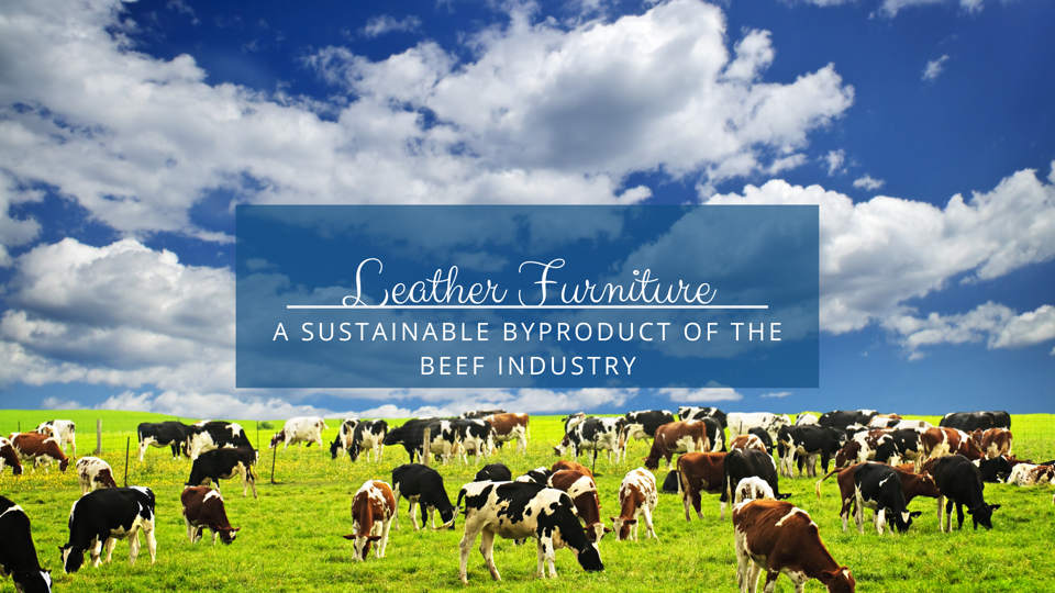 Leather Furniture: A Sustainable Byproduct of the Beef Industry