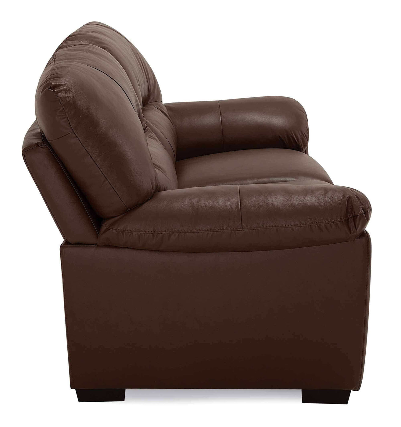 Amisk Leather Sofa | Budget Decor